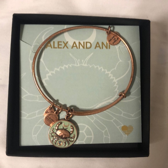 Alex and Ani | Jewelry | Alex And Ani Crab Color Infusion Bracelet | Poshmark